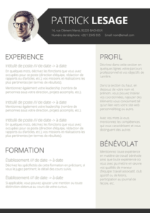 Modèles de CV gratuits pour Word - Freesumes.fr
